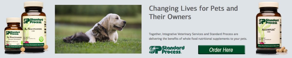 Integrative Veterinary Services – Holistic Veterinary